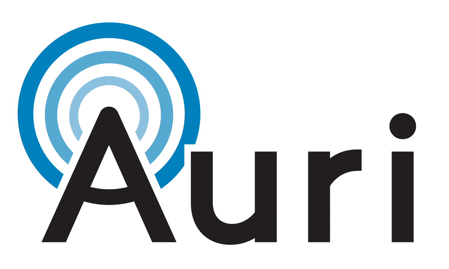 Auri System Manual - Auri
